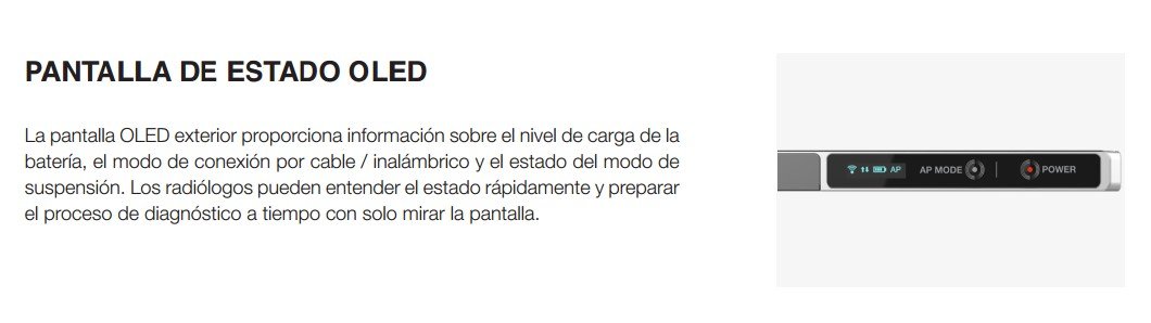 Flat Panel Para RX Wire Less Modelo VIVIX-S – Prolife